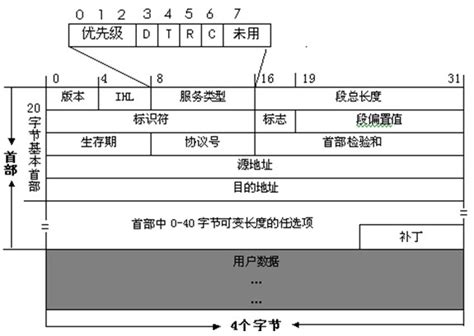 软考网络管理员备考知识点精讲之TCP IP协议 网络管理员 希赛网