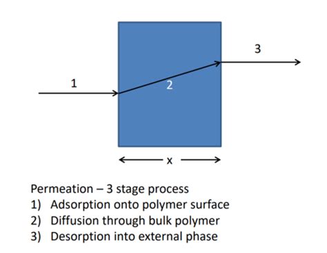 Lecture 8 Polymer Diffusion Exam 1 Flashcards Quizlet