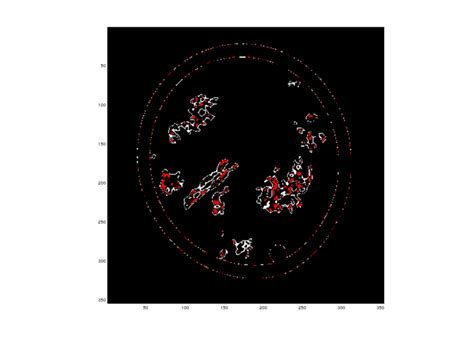 Image Processing Edge Removal In Matlab Stack Overflow