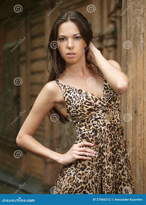 Девушка в платье стоковое фото изображение насчитывающей женственно 27566212