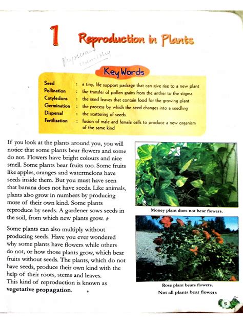 Class 5 Reproduction In Plants Pdf