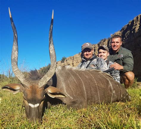 Hunting In Africa Spiral Horned Antelope