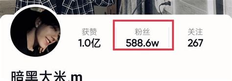网红陈意礼暗黑大米官宣，一周前还互称兄弟，女方旧照爆出疑整容视频
