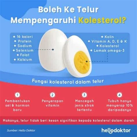 Kalori Roti Bakar Dan Telur Separuh Masak Pelbagaikan Masakan Telur Anda Tak Lah Bosan Makan