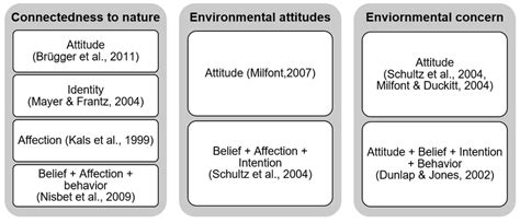Concepts With Multiple And Inconsistent Conceptualizations