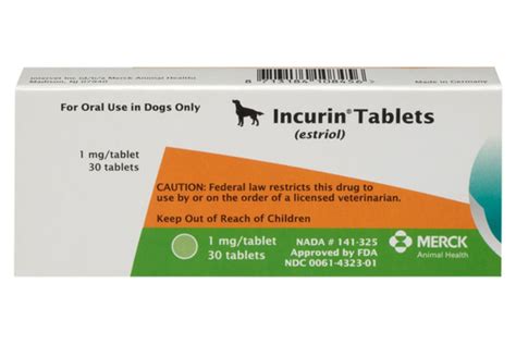 5 Dog Incontinence Medications That Could Help Great Pet Care