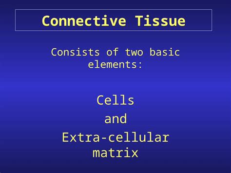 PPT Connective Tissue Ppt DOKUMEN TIPS
