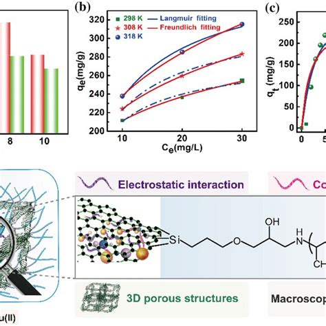 A The Influence Of Solution Ph On The Adsorption Capacity Of Cuii On