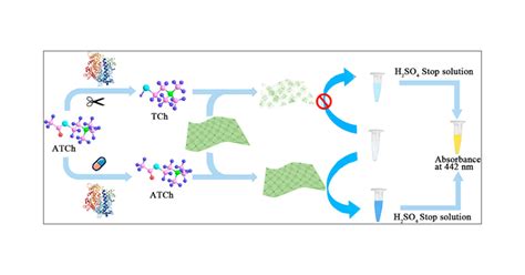 Colorimetric Assay For Acetylcholinesterase Activity And Inhibitor Screening Based On Metal