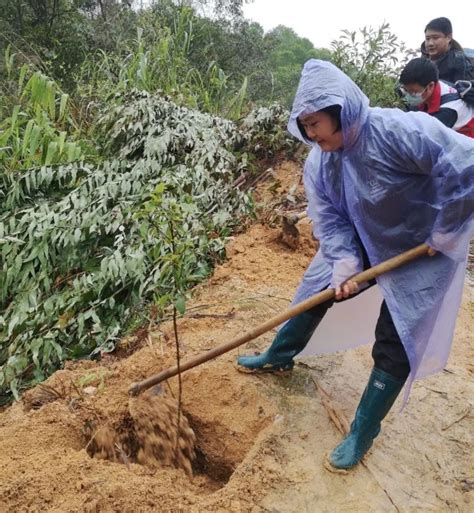 植树添绿正当时 从化多个镇街开展全民义务植树活动