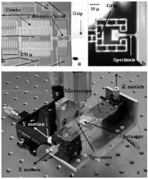 A Mems Based Tensile Testing Setup A The Electrostatic Comb Drive Download Scientific