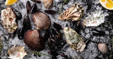 Are You Eating Shellfish Contaminated With This Paralysis Causing Toxin