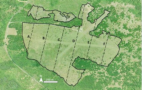 Precision Accuracy And Bias Of Walked Line Transect Distance Sampling To Estimate Eastern Grey