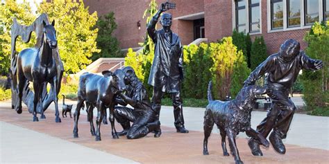 Purdue Veterinary Conference College Of Veterinary Medicine Purdue