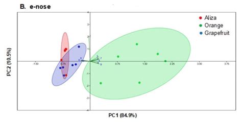 Biplot Pca Charts Of The E Tongue A And E Nose B Data Observed For