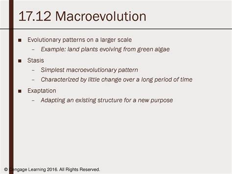 Chapter 17 Processes Of Evolution Ppt Download