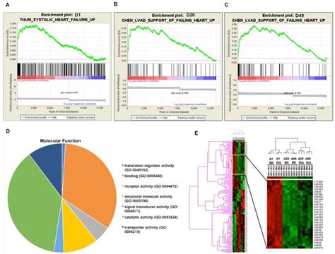 Gene Functional Annotation And Heatmap Of Pairwise Correlations Between