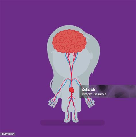인간의 몸 해부학 벡터 일러스트 건강관리와 의술에 대한 스톡 벡터 아트 및 기타 이미지 건강관리와 의술 과학 관다발