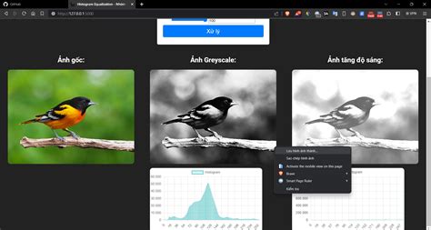 GitHub Huyhoang HistogramEqualization