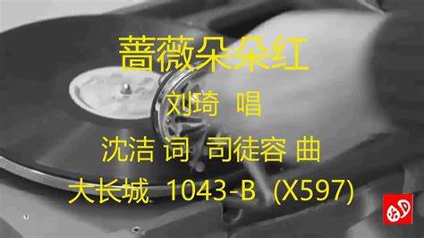 蔷薇朵朵红 刘琦 Youtube