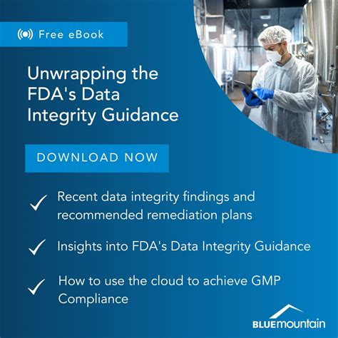 Fda Guidance On Data Integrity And How To Use The Cloud For Gmp Compliance Free Download