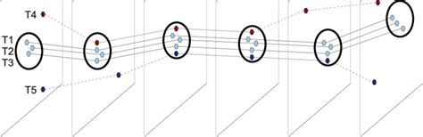 5 Example Of A Flock Where Different Interpretation Can Apply