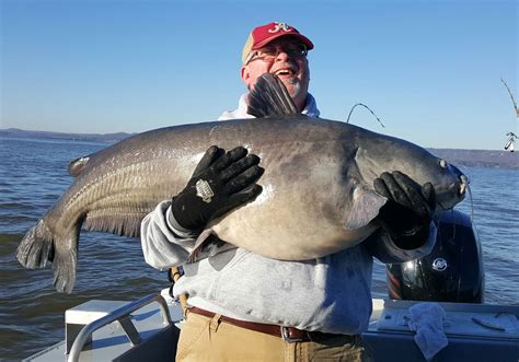 How To Catch Catfish The Complete Catfishing Guide FishingBooker Blog