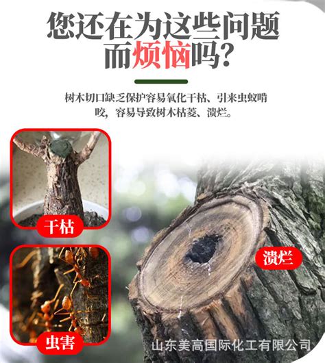 植物伤口愈合剂树木涂补剂人造树皮涂膜剂果树嫁接切口修复涂抹膏 阿里巴巴