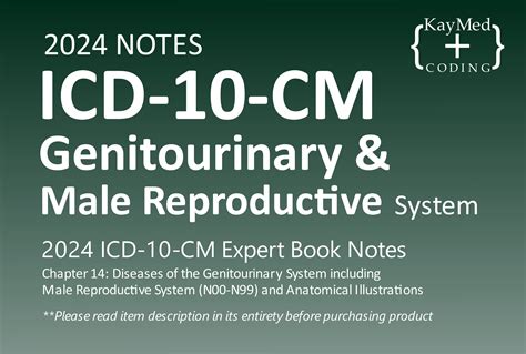 2024 Icd 10 Cm Genitourinary System Including Male Reproductive System