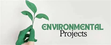 Environmental Projects Fostering Sustainability Across The Campus