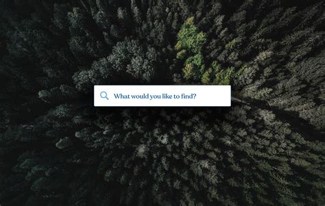 The New Jetpack Search Add On Wiredgorilla