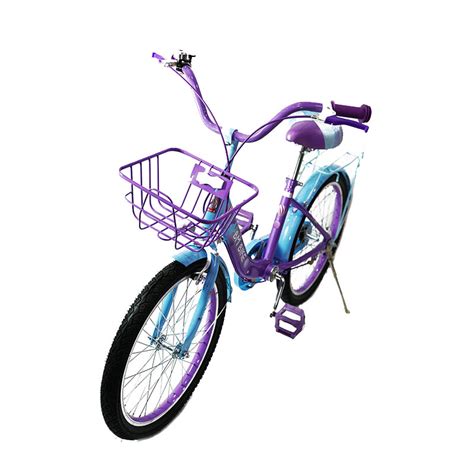Bicicleta Bm Bike R 20 Niña Morado Con Azul Cielo