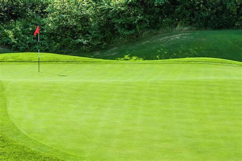 Putting Green