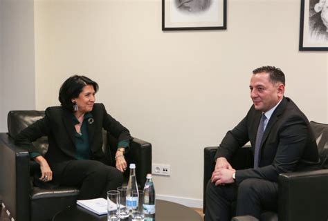 ზურაბიშვილი რუსების საქართველოში შემოსვლის საკითხზე გამელაურს შეხვდა