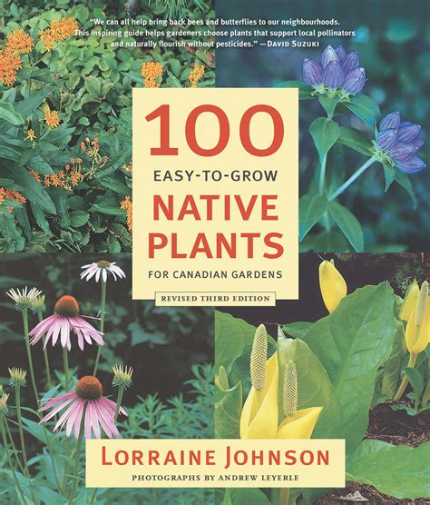 Native Plants In Claremont Native Ontario Plant Sales Online Store