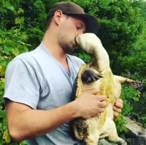 Animal Lover Tried To Kiss Snapping Turtle But Got Viciously Bitten On