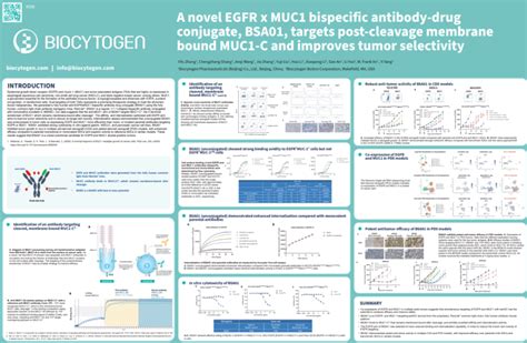 Aacr 2023 A Novel Egfr X Muc1 Bispecific Antibody Drug Conjugate