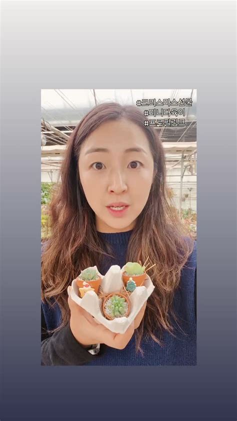 도로시농원 먼지먹는식물 이오난사 공기정화식물 소품 활용 실내화분 실내식물키우기 이오난사 주1회 스프레이로 간편하게 키울수있는