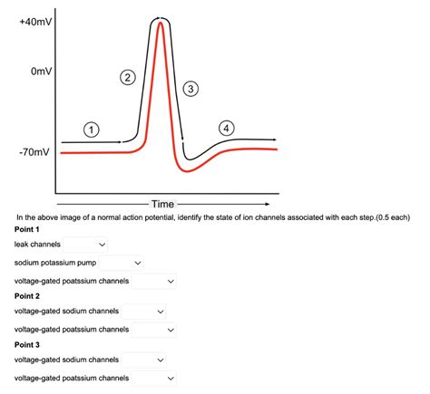 Solved The Answer Choices For All Of Them Are Open Closed Chegg Com