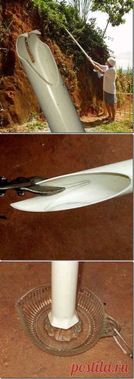 сад огород Раиса Колтышева Фотографии и советы опытных дачников на Постиле