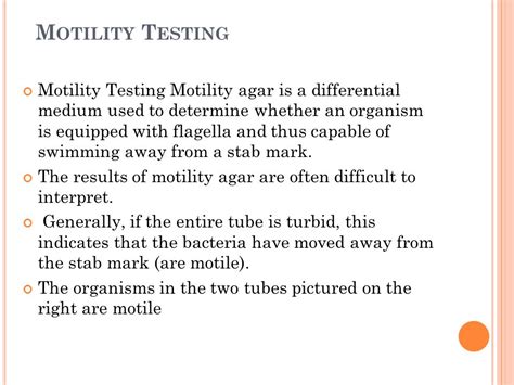 Biochemical Test Prof Dr Marlina Ms Apt Ppt Video Online Download
