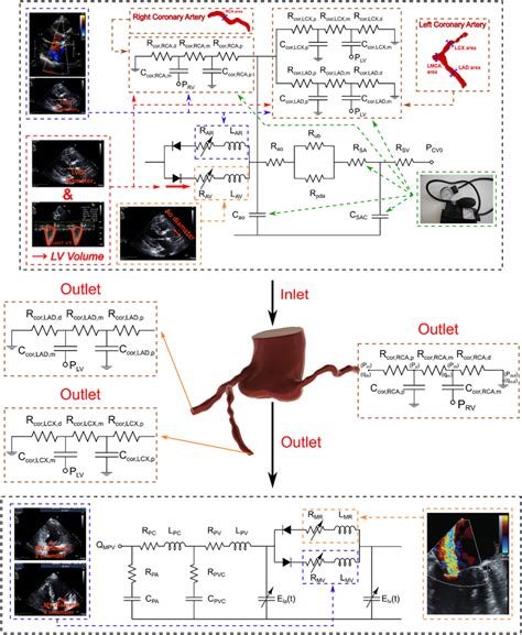 Schematic Diagram Of Computational Domain Electrical And Anatomical