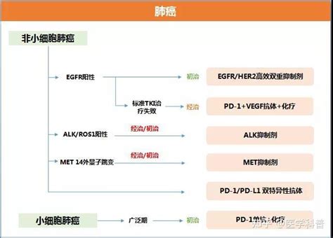 肺癌临床试验肺癌alk基因突变吃什么靶向药物ros1，egfrbraf、ret、kras、met 知乎