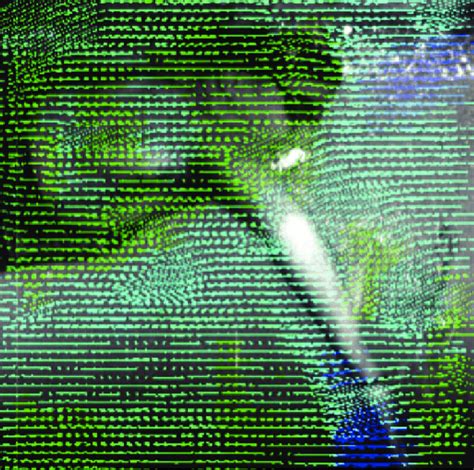 Instantaneous Digital Particle Image Velocimetry Vector Field Showing Download Scientific