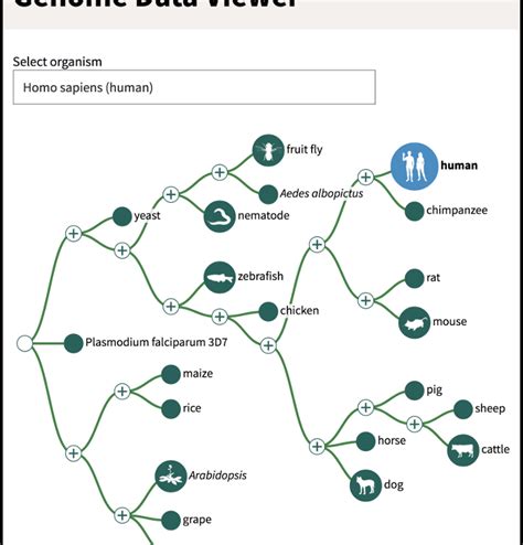 Map Viewer Archives Ncbi Insights