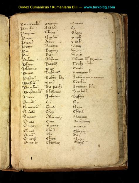 Codex Cumanicus