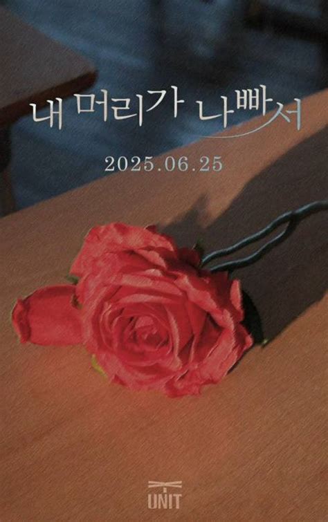 소디엑 유닛 Ss501 ‘내 머리가 나빠서 리메이크 F4 연상