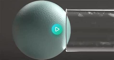 Squishy Ball Pressed Through A Tube Album On Imgur