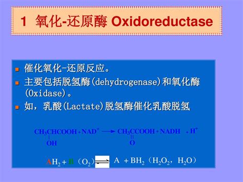 酶 （enzyme） Ppt Download