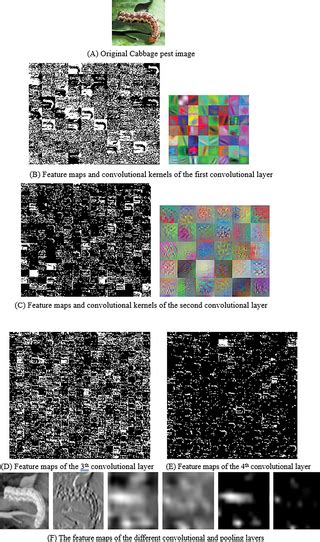 Crop Pest Detection By Three Scale Convolutional Neural Network With